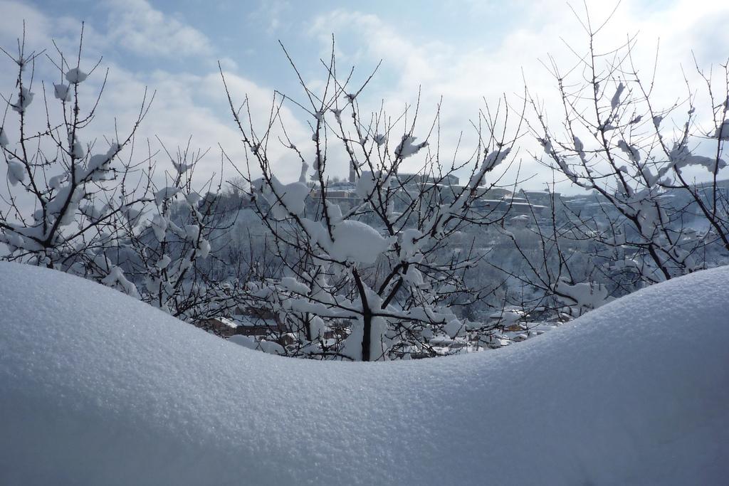 Il Monregalese entra nella storia: 85cm di neve caduta, oltre 70cm al ...